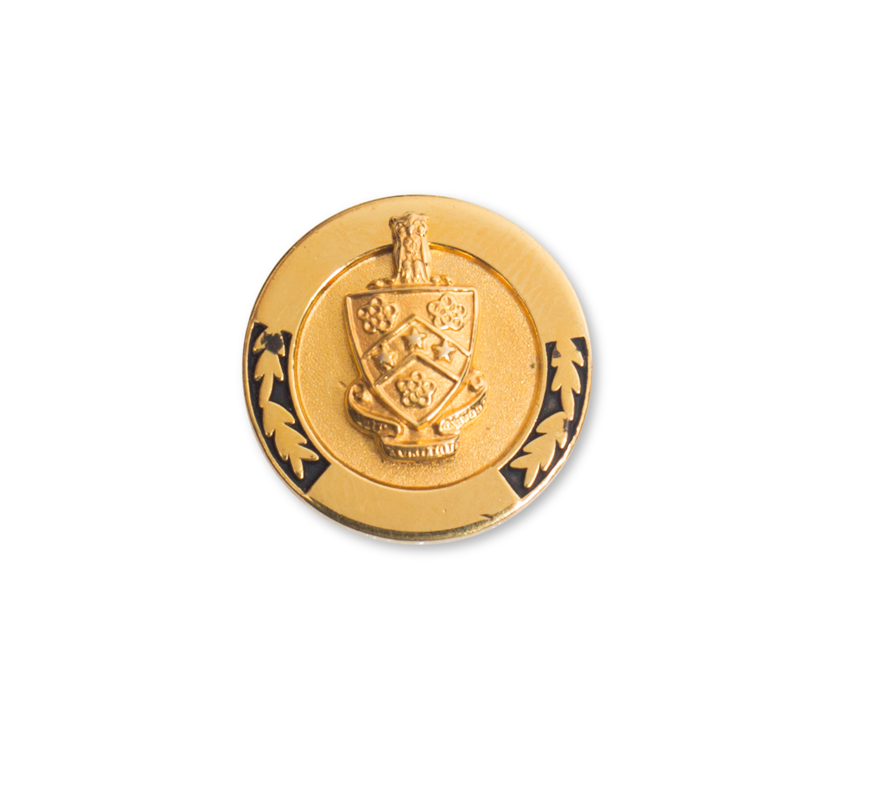 Laurel Wreath Lapel Pin – Legacy Deuteron